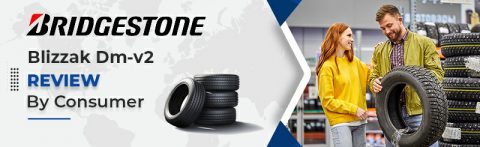 Bridgestone Blizzak Dm-V2 Tire Reviews & Rating | 2023